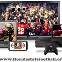 Florida State Football Game - Developer Profile on DoSelect